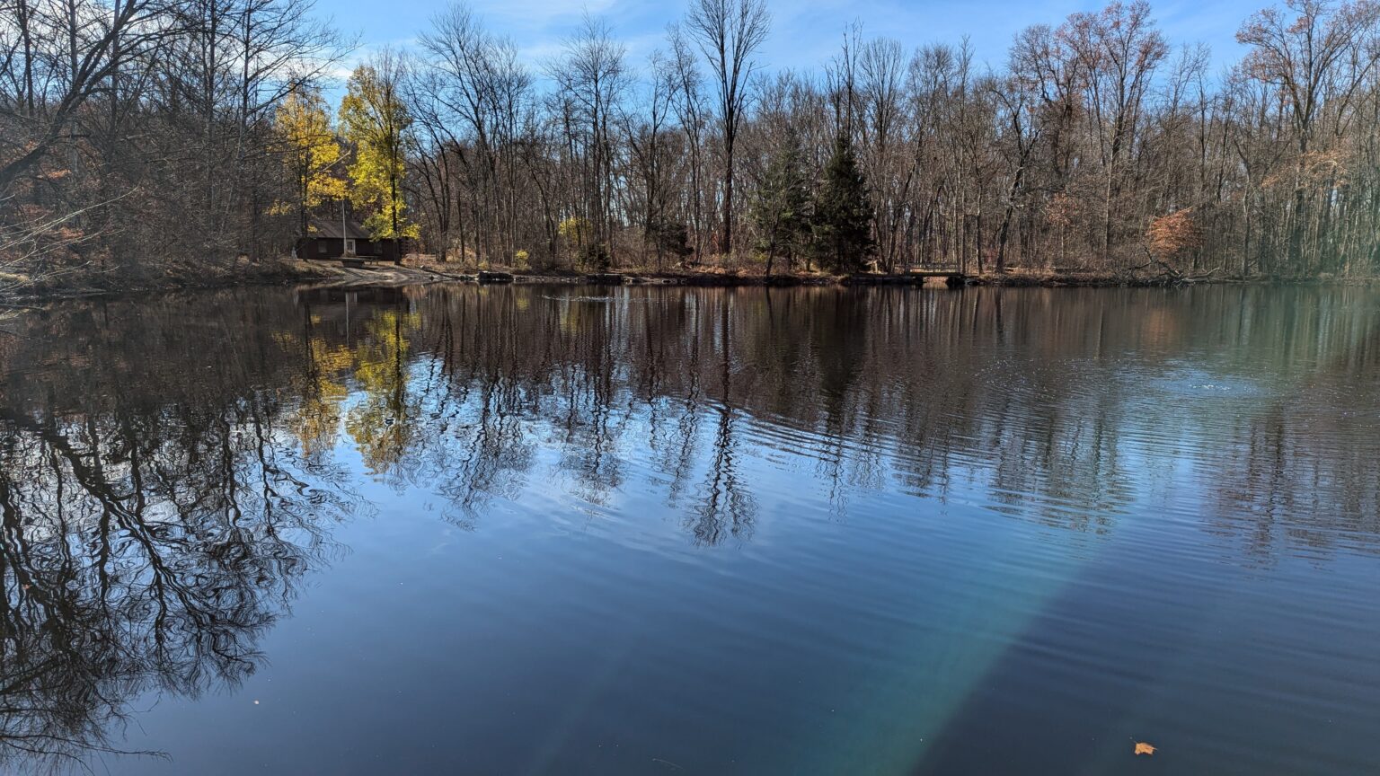 Newsletter — June, 2025